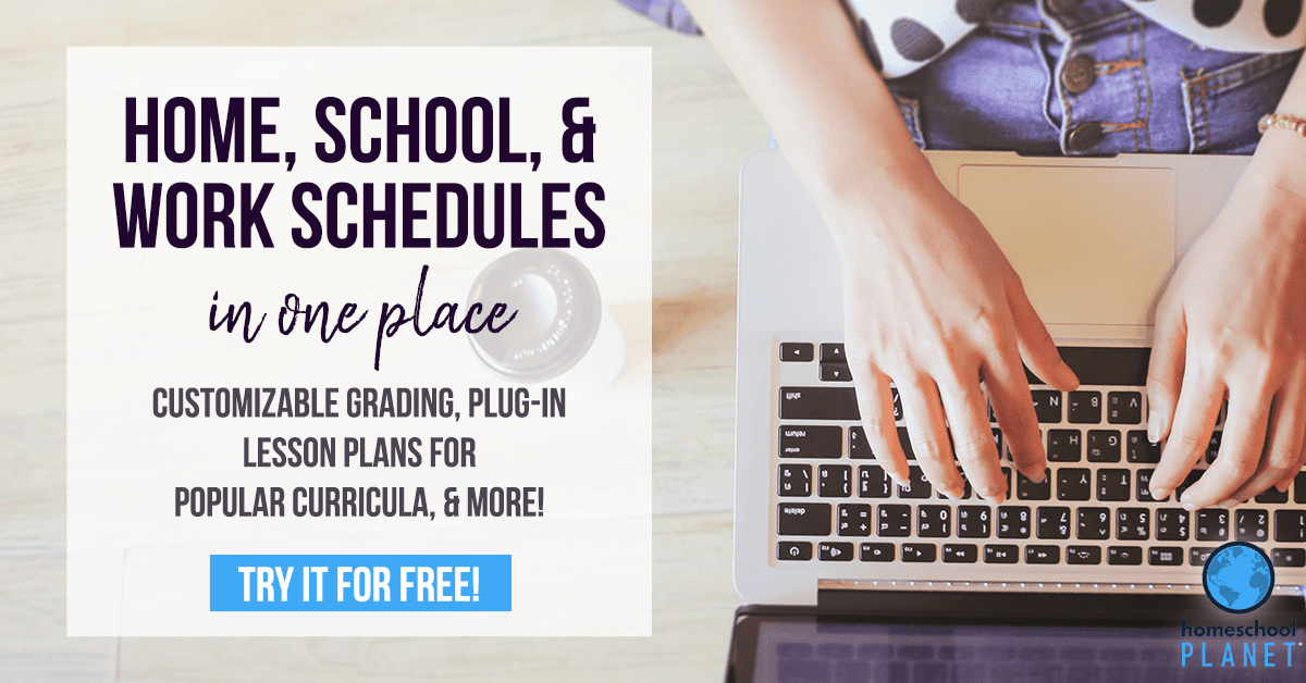 9th grade homeschool curriculum choices - 4onemore