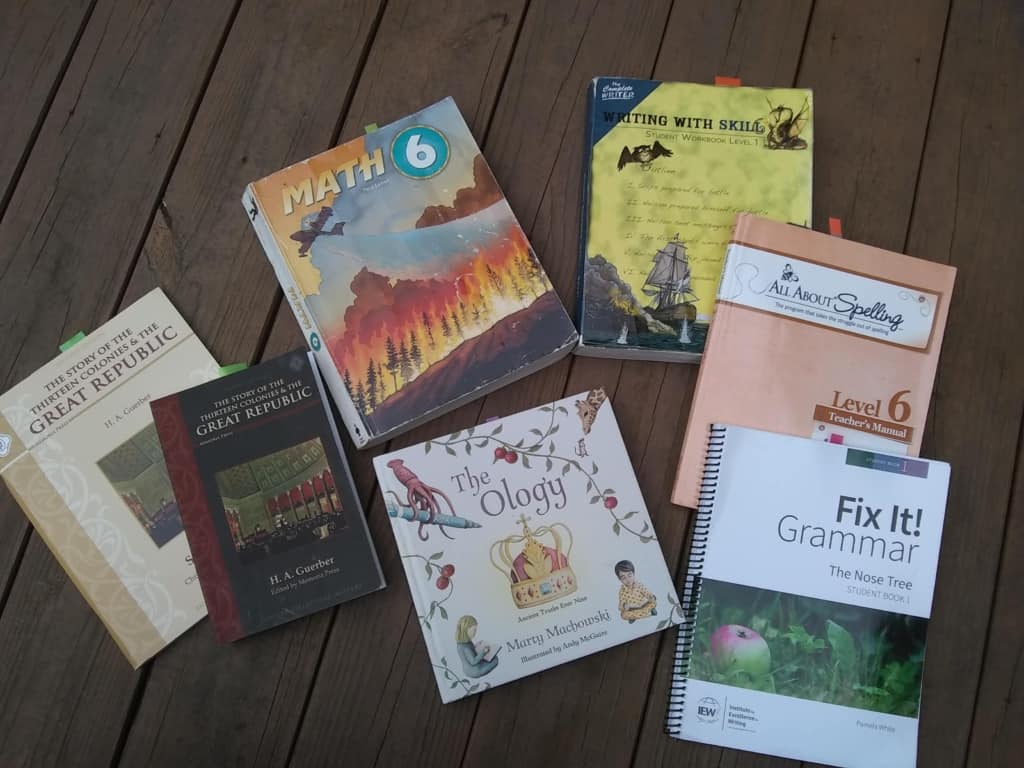 Our 6th Grade Homeschool Curriculum Choices - 4onemore