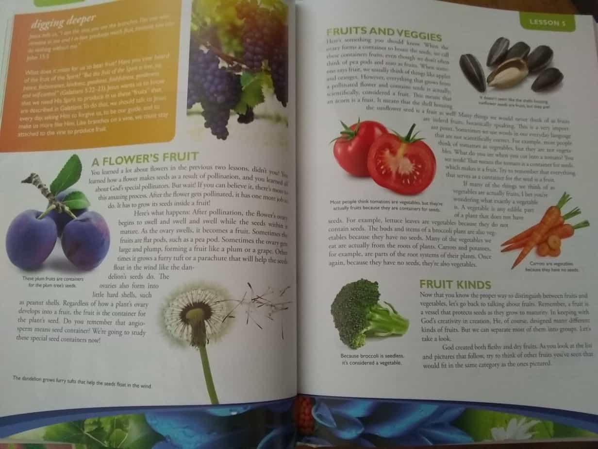 Apologia Botany Review - 4onemore