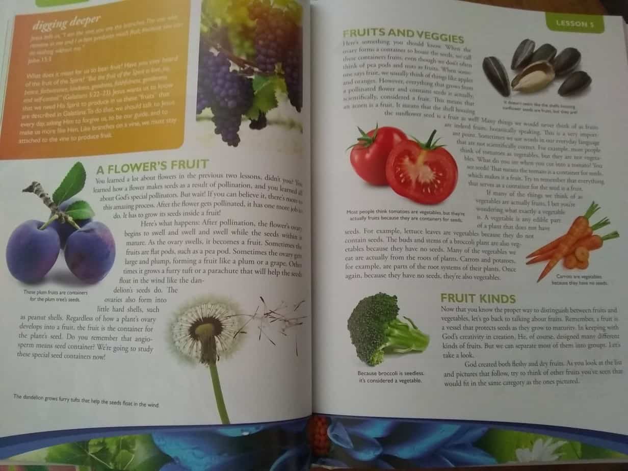 Apologia Botany Review - 4onemore