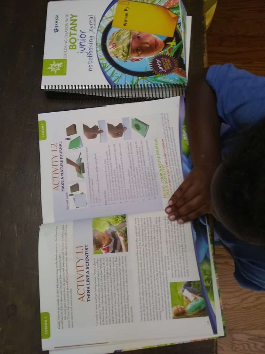 Apologia Botany Review - 4onemore