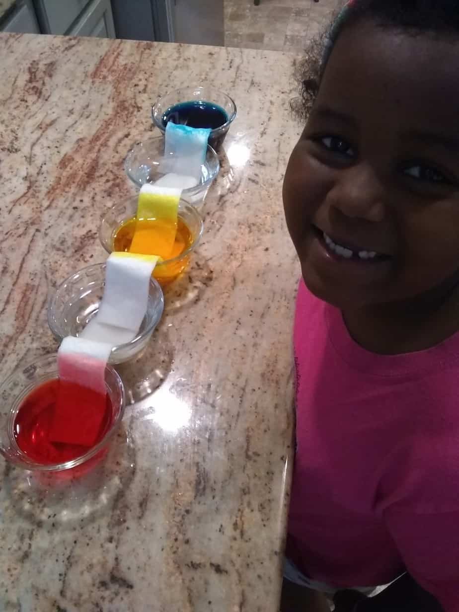 Apologia Botany Review - 4onemore