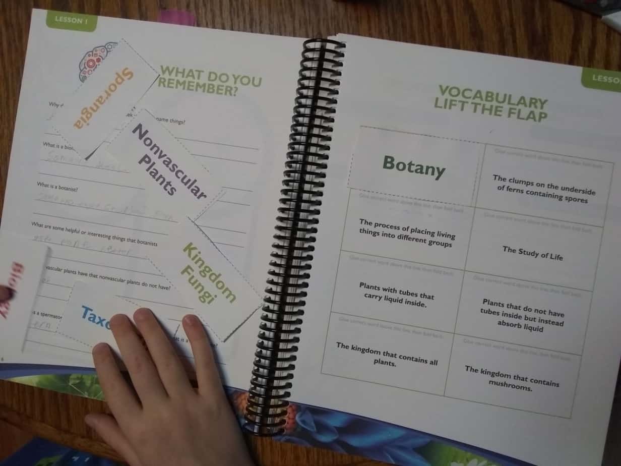 Apologia Botany Review - 4onemore