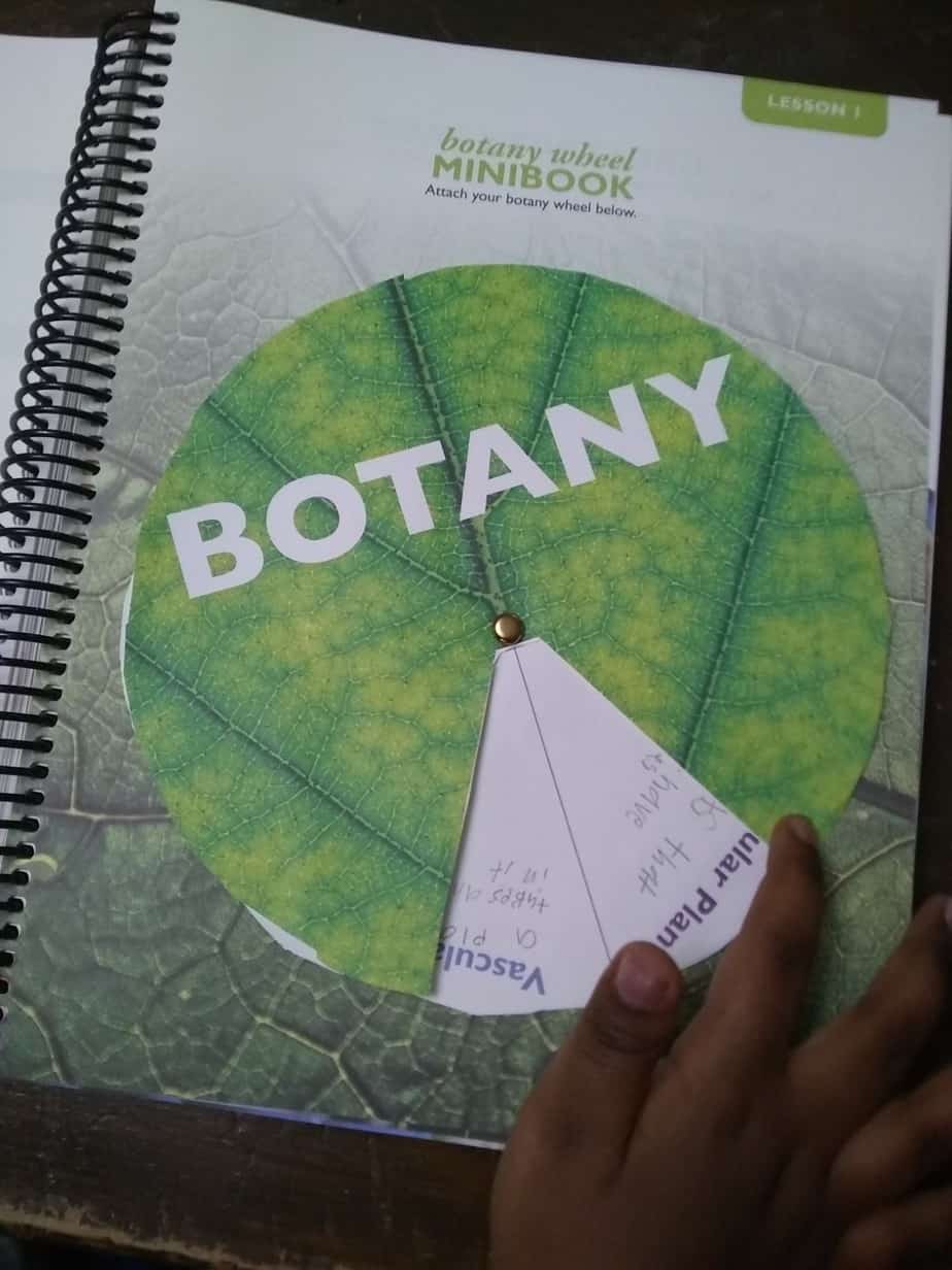 Apologia Botany Review - 4onemore