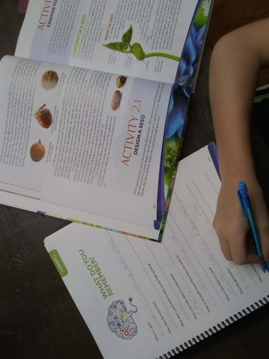 Apologia Botany Review - 4onemore