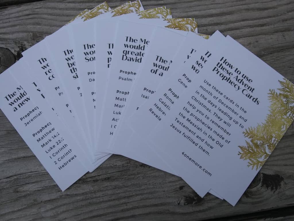 ADVENT BUNDLE - Jesus: Prophecy Fulfilled - 4onemore