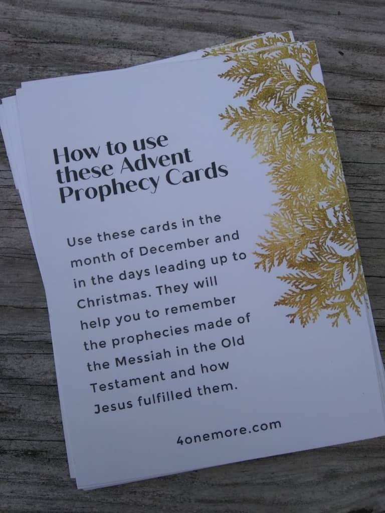 ADVENT BUNDLE - Jesus: Prophecy Fulfilled - 4onemore