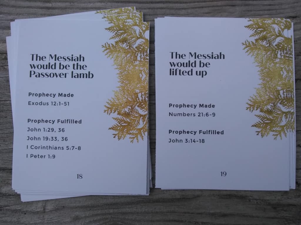 ADVENT BUNDLE - Jesus: Prophecy Fulfilled - 4onemore
