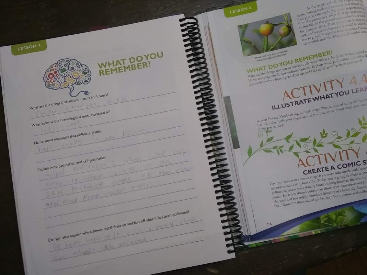 Apologia Botany Review - 4onemore