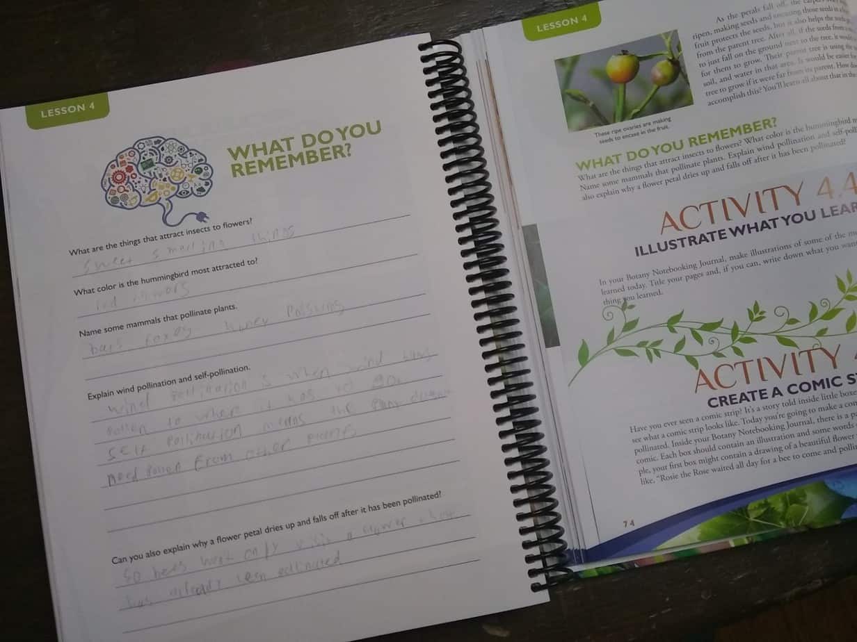 Apologia Botany Review - 4onemore