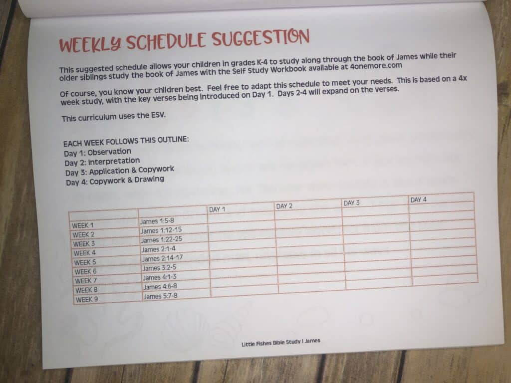 James Little Fishes Bible Study (Grades K-4) PHYSICAL WORKBOOK - 4onemore