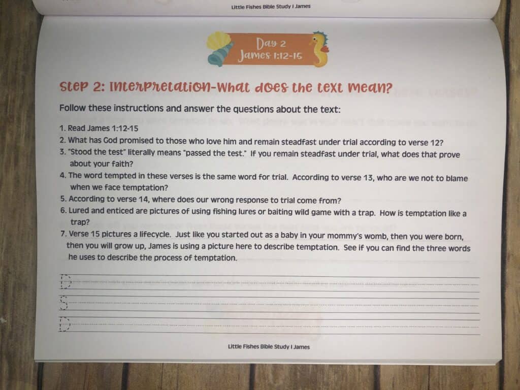 James Little Fishes Bible Study (Grades K-4) PHYSICAL WORKBOOK - 4onemore