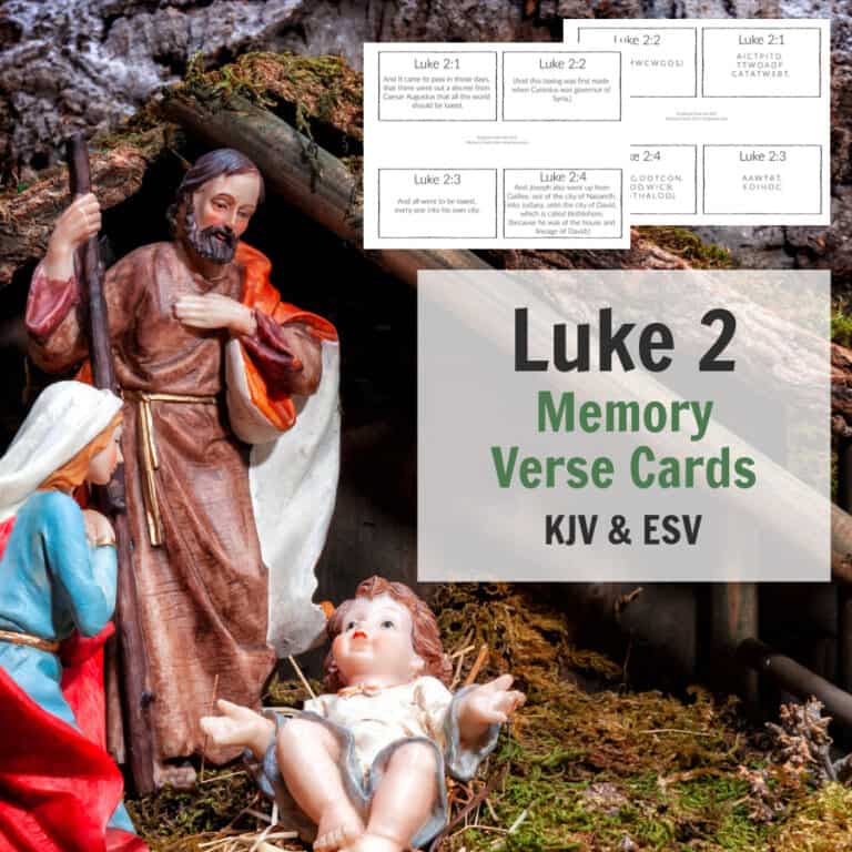 Luke 2 Memory Verse Cards - 4onemore