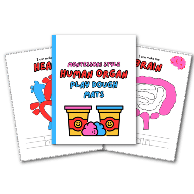 Montessori Style Human Organ Play Dough Mats - 4onemore