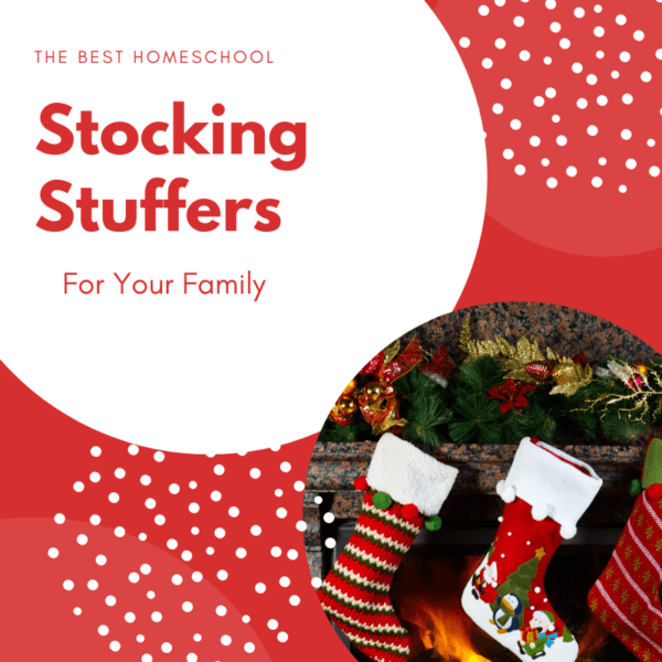Educational Stocking Stuffers for Homeschoolers - 4onemore