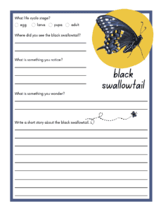 Butterfly Learning Pack - 4onemore