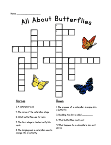 Butterfly Learning Pack - 4onemore