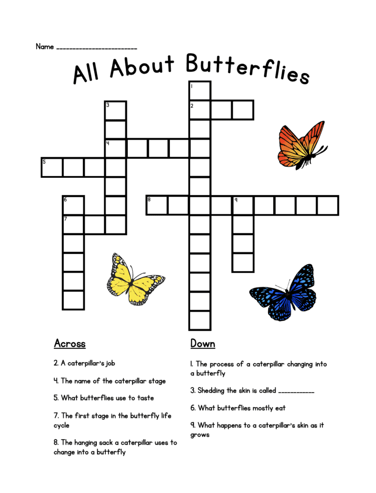 Butterfly Learning Pack - 4onemore