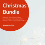 Christmas Bible Bundle - 4onemore