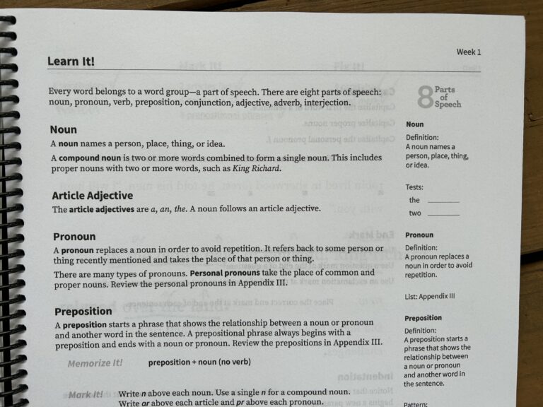 Fix It! Grammar Robin Hood Review (Level 3) | IEW Homeschool Grammar ...