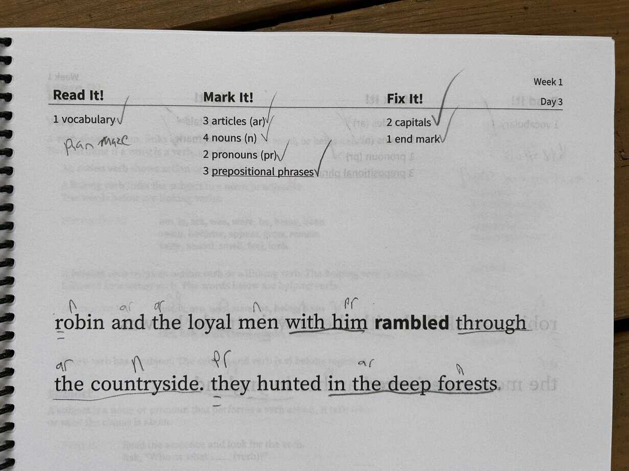 Fix It! Grammar Robin Hood Review (Level 3) | IEW Homeschool Grammar ...