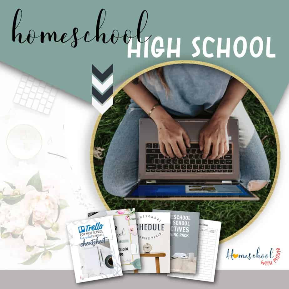 9th grade homeschool curriculum choices - 4onemore
