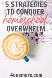 5 Strategies to Conquer Homeschool Overwhelm | Homeschool with Moxie