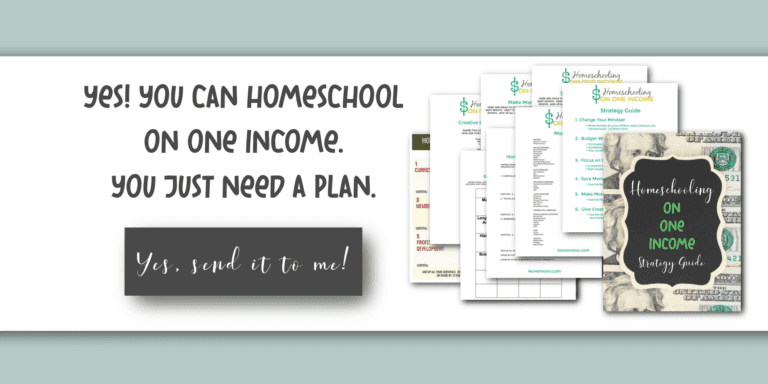 The Thrifty Girl's Guide to Living on One Income