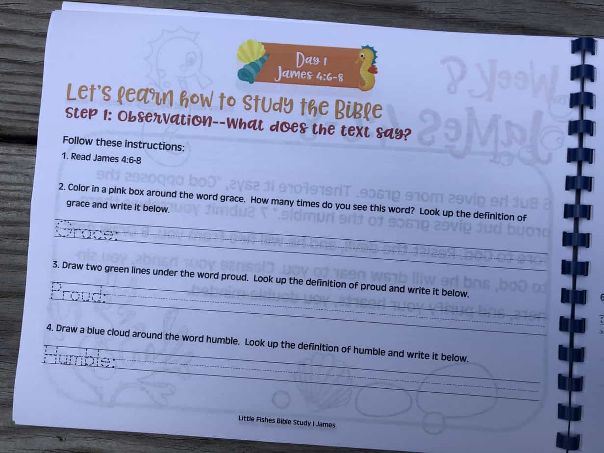 James Little Fishes Bible Study (Grades K-4) DIGITAL - 4onemore