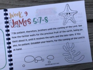 James Little Fishes Bible Study (Grades K-4) DIGITAL - 4onemore