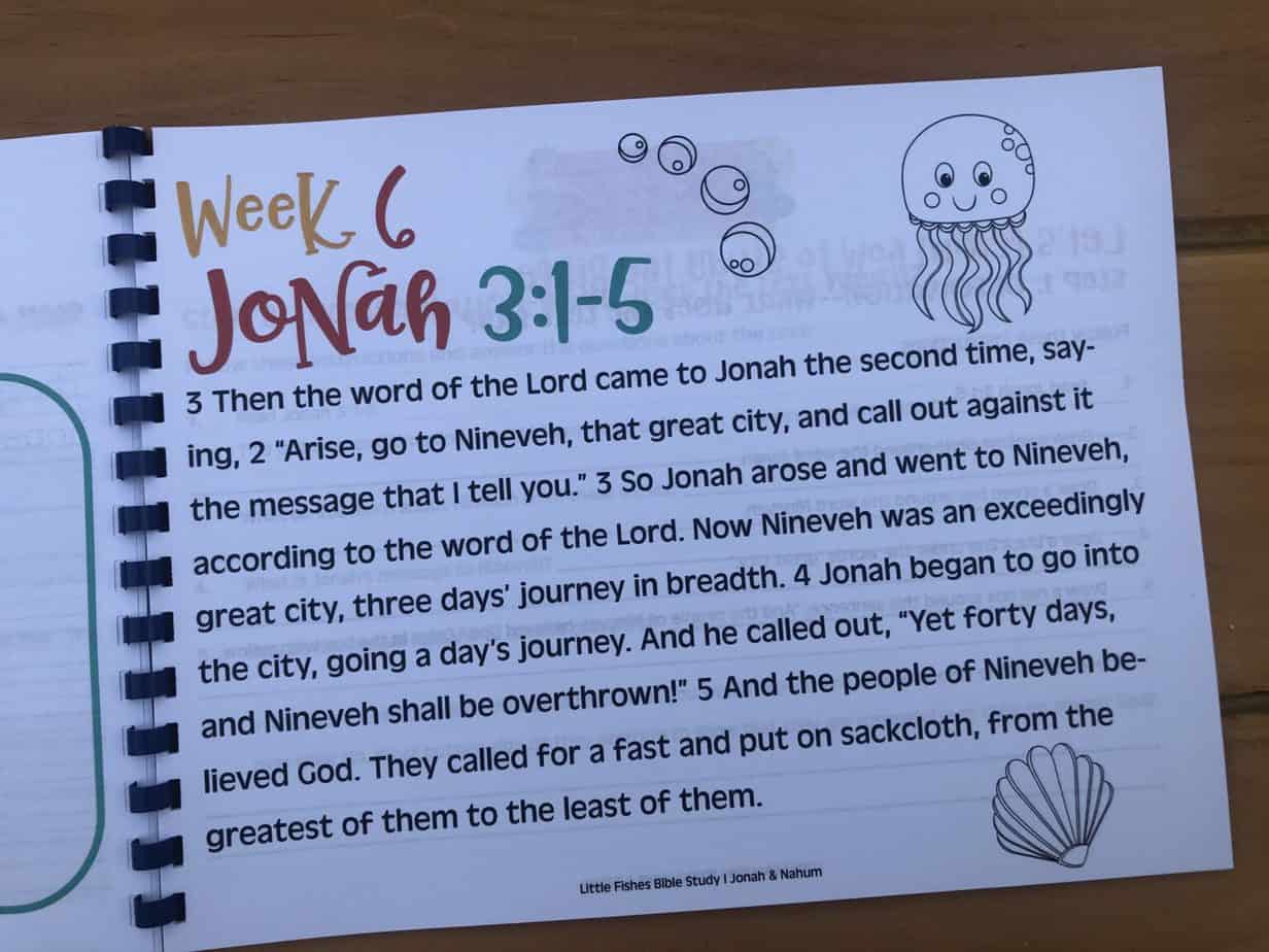JONAH & NAHUM Little Fishes Bible Study (Grades K-4) - 4onemore
