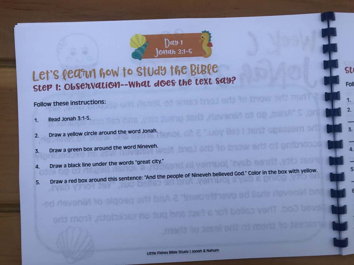 JONAH & NAHUM Little Fishes Bible Study (Grades K-4) - 4onemore