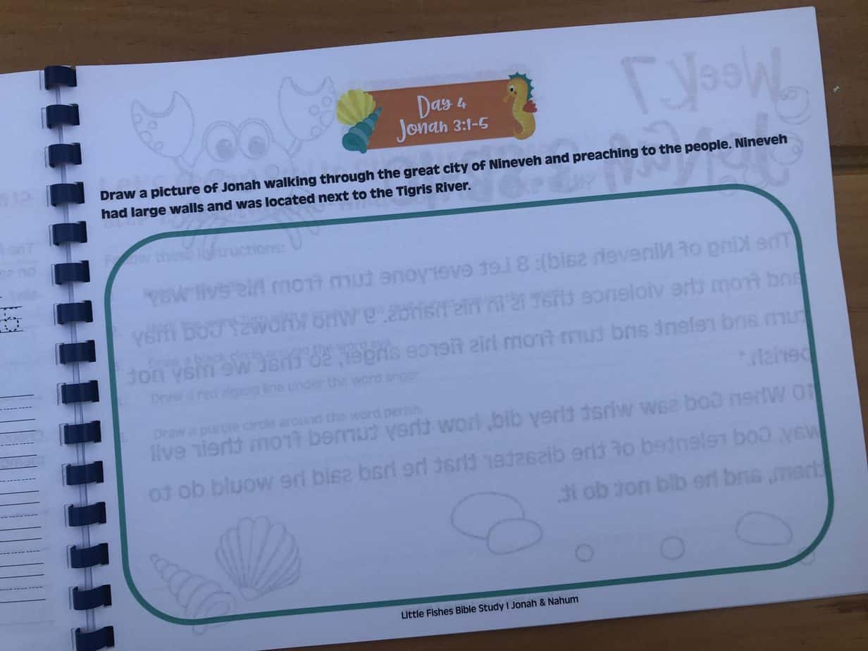 JONAH & NAHUM Little Fishes Bible Study (Grades K-4) - 4onemore