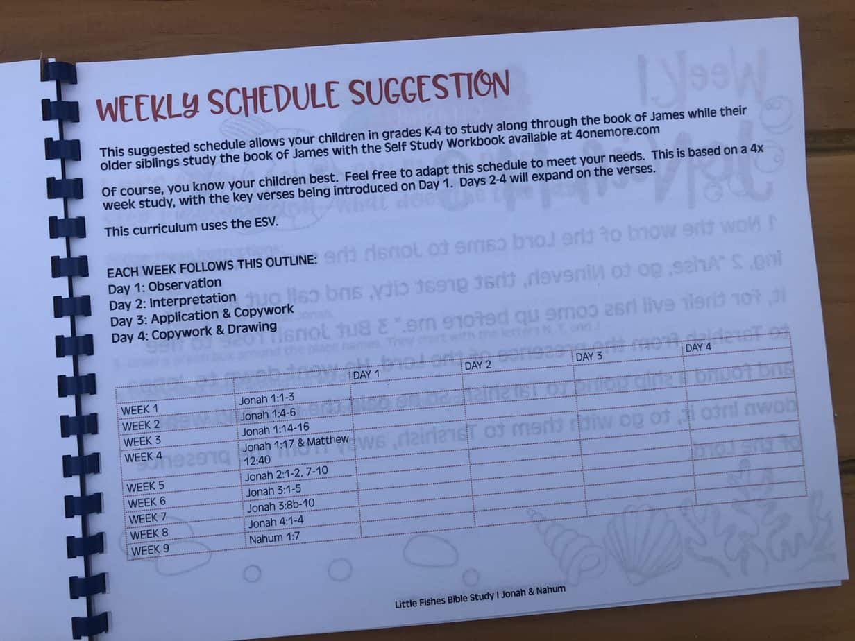 JONAH & NAHUM Little Fishes Bible Study (Grades K-4) - 4onemore