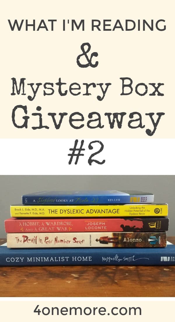 What I'm Reading & the Mystery Box Giveaway #2 - 4onemore