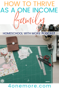 How to Thrive as a One Income Family: Homeschool with Moxie Podcast ...