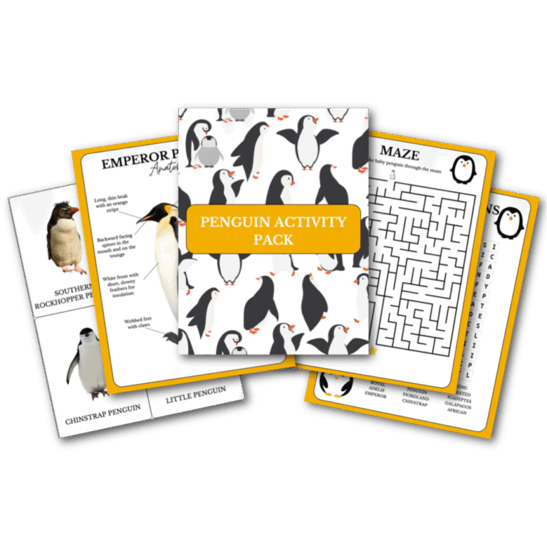 Penguin Activity Pack - 4onemore