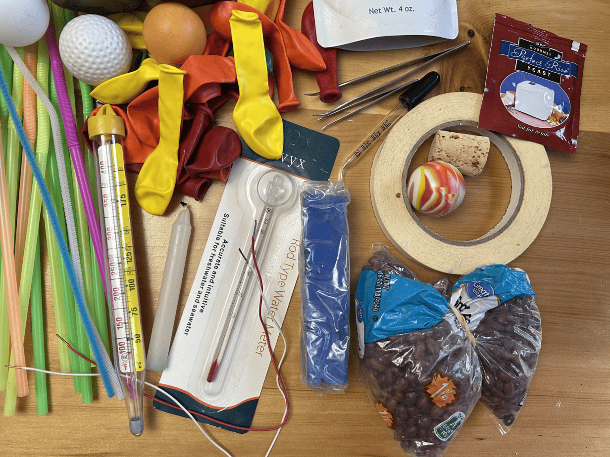 Homeschool Science Labs: Everything You Need to Get Started - 4onemore